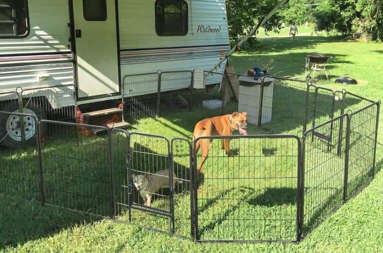29 Genius RV Hacks for Dogs Every Pet Owner Needs to Know - RV Owner HQ